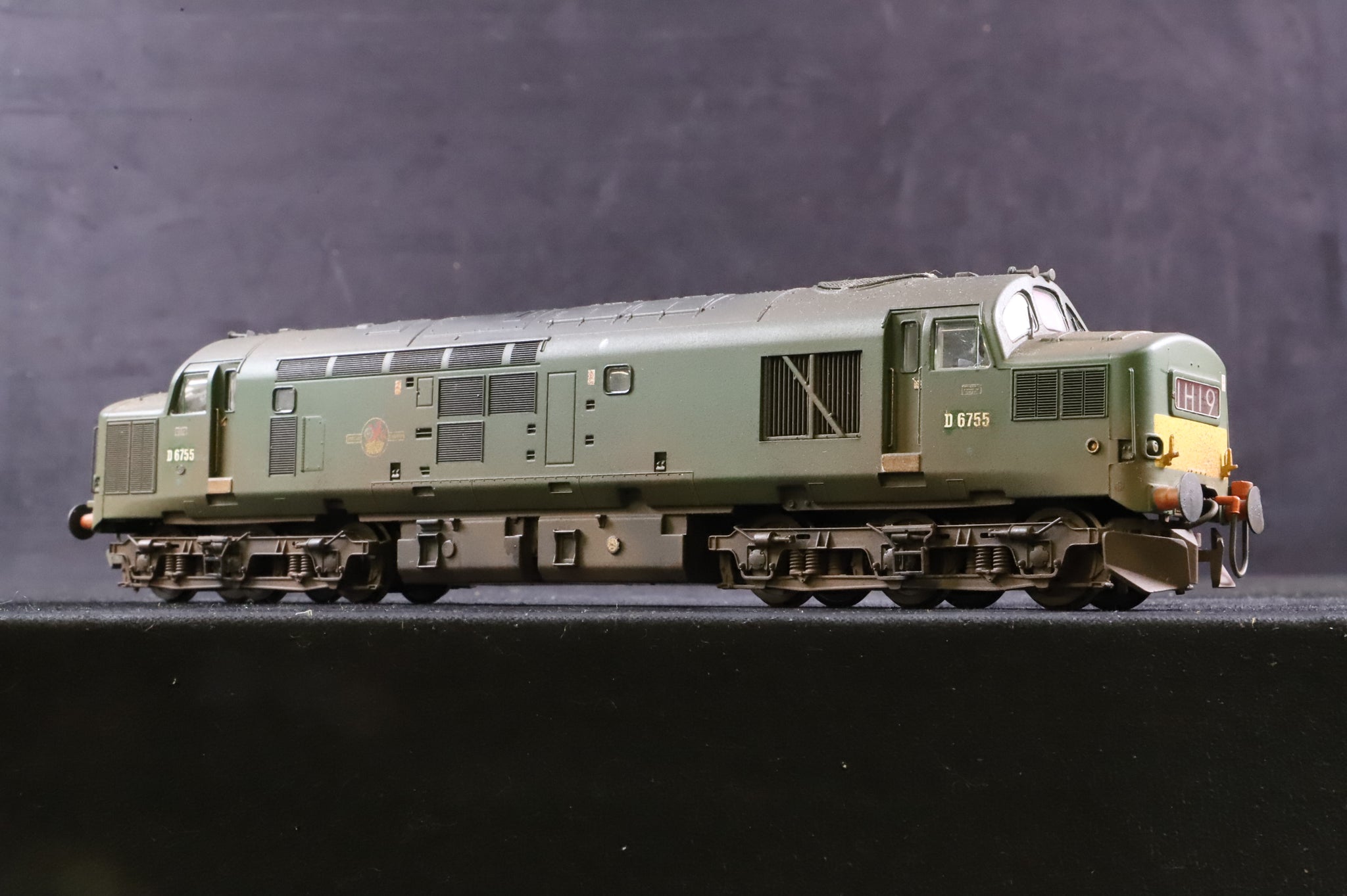 Bachmann OO 32-778 Class 37/0 'D6755' BR Green Centre Head Code Weathe ...